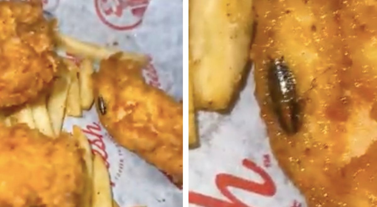 Er fand eine Kakerlake im Brathähnchen des Fast-Food-Restaurants und ...