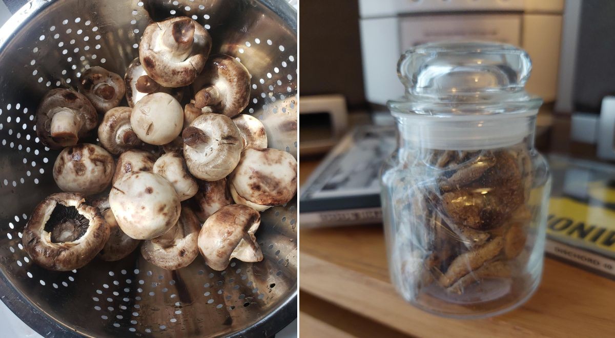 Come conservare i funghi preservandone la freschezza ed evitando che ...
