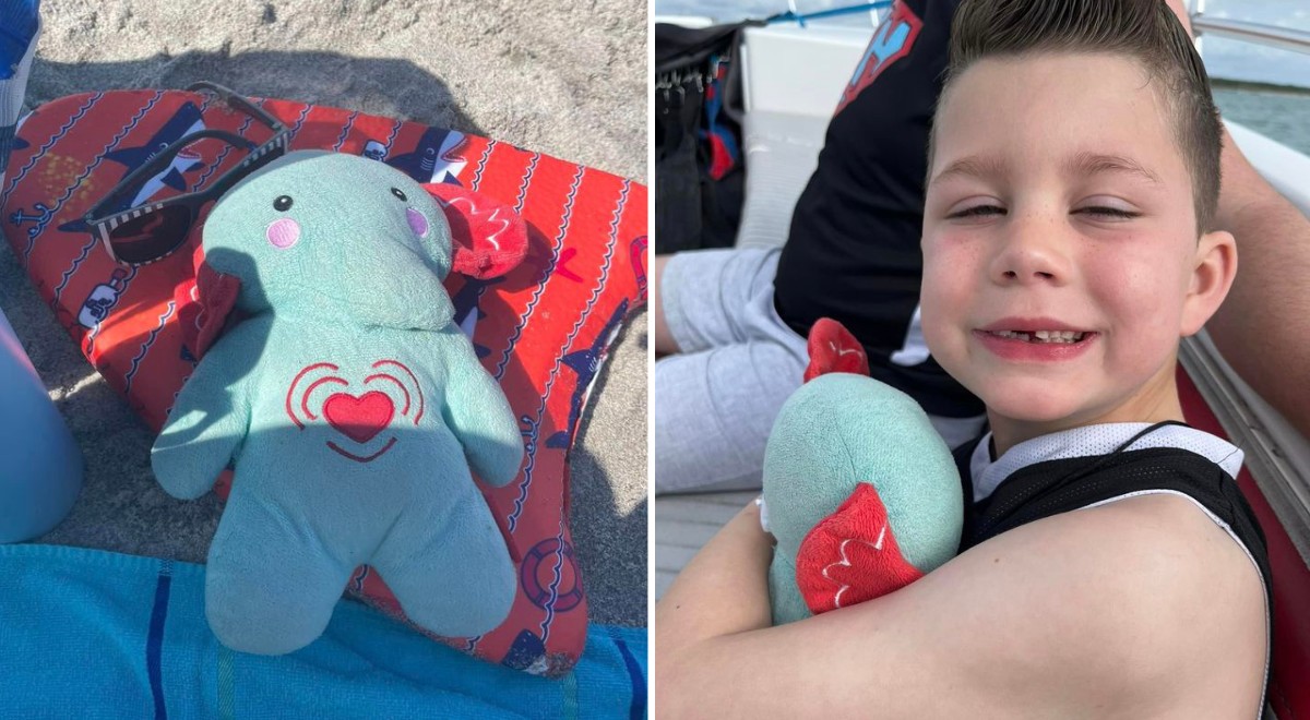 Elle perd l'éléphant en peluche qui contenait les cendres de son fils ...