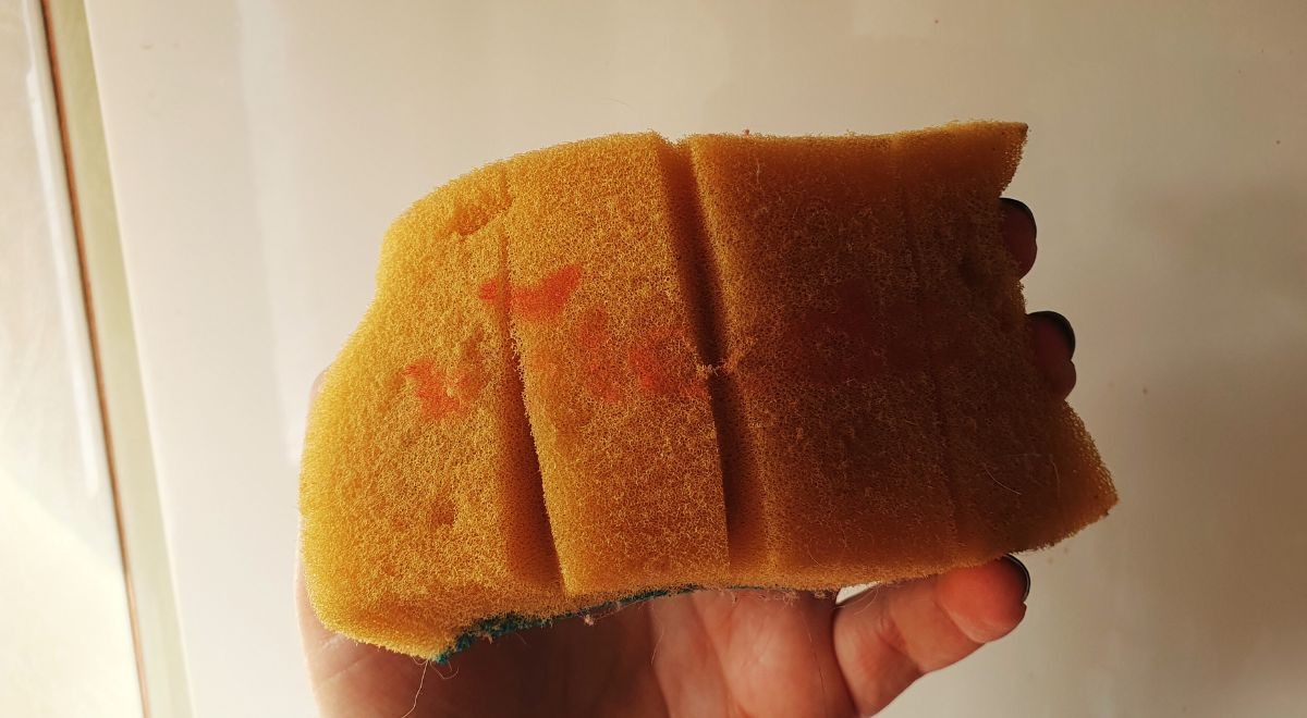 Sponges to the rescue: they can be used for much more than washing the ...
