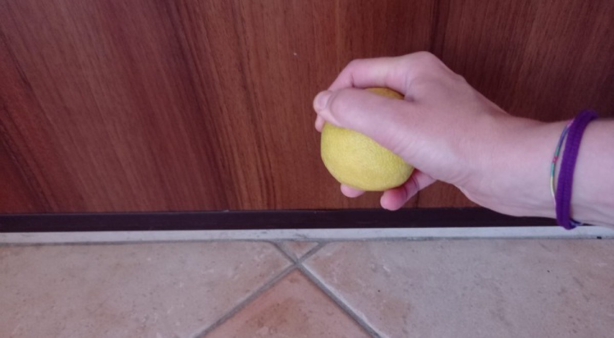 Why squeeze a lemon along the bottoms of your doors? A very useful tip ...
