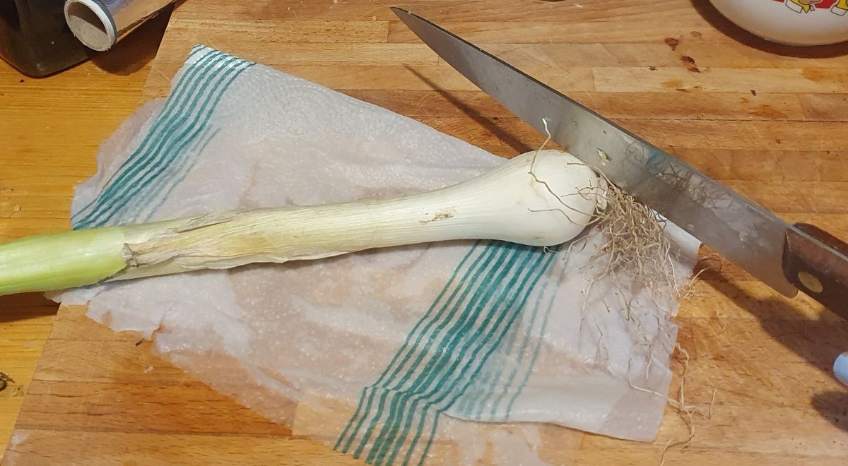 Bringen die Zwiebeln Sie zum Weinen? Nur eine Serviette und Sie werden ...