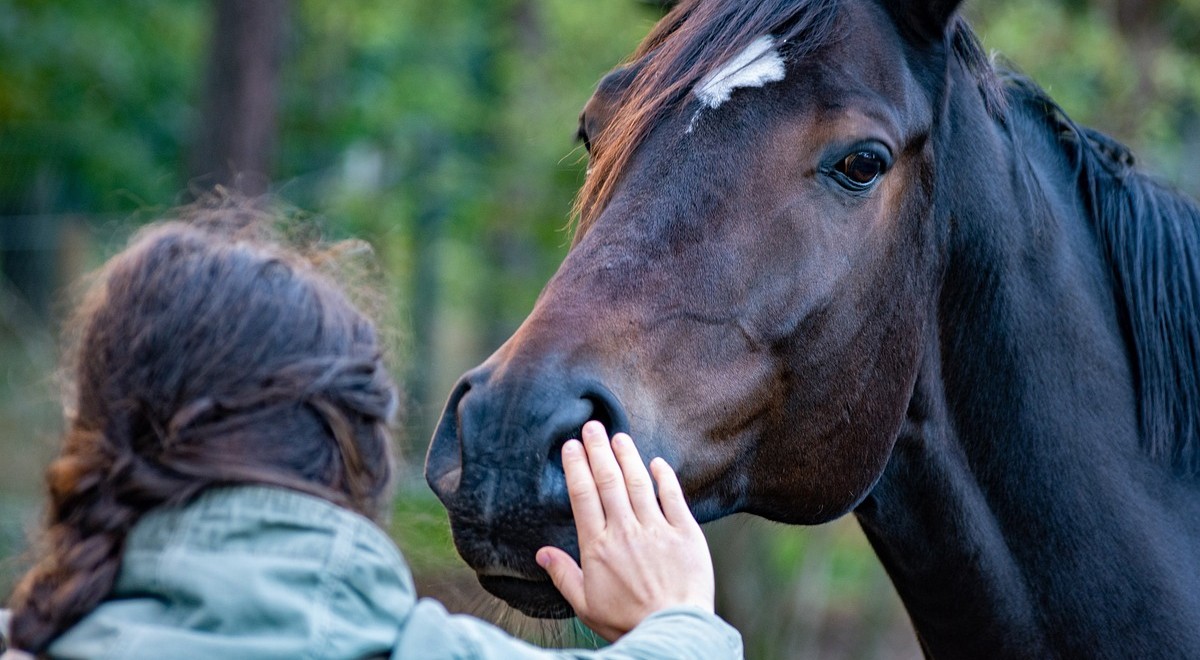 Andare a cavallo: 5 motivi per cui iniziare subito, a qualsiasi età ...