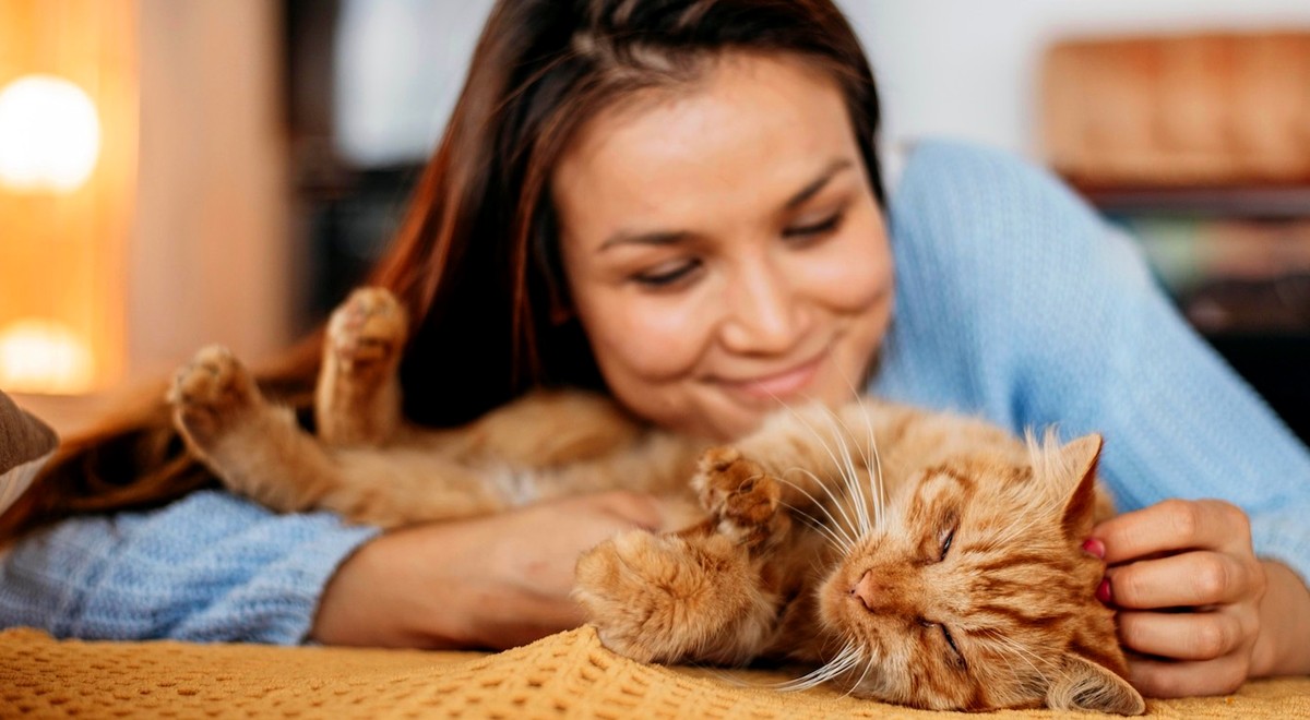 I segreti fondamentali per conquistare il tuo gatto - Argo.pet