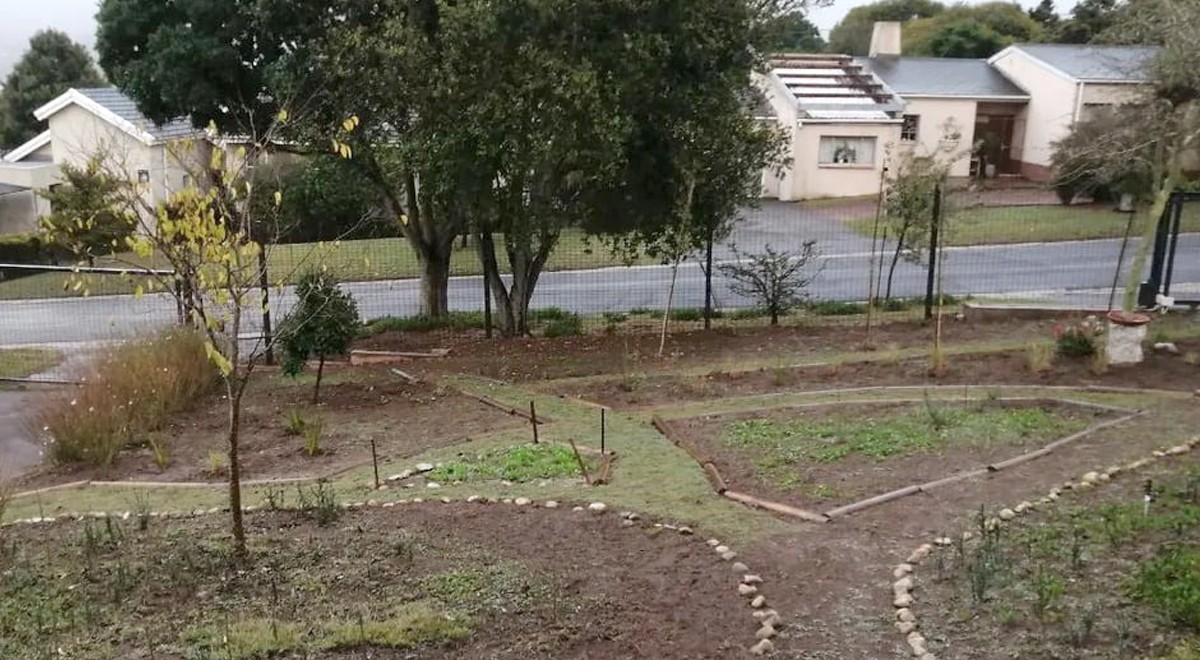 Er verwandelt seinen kargen Garten in eine wunderschöne Wiese ...