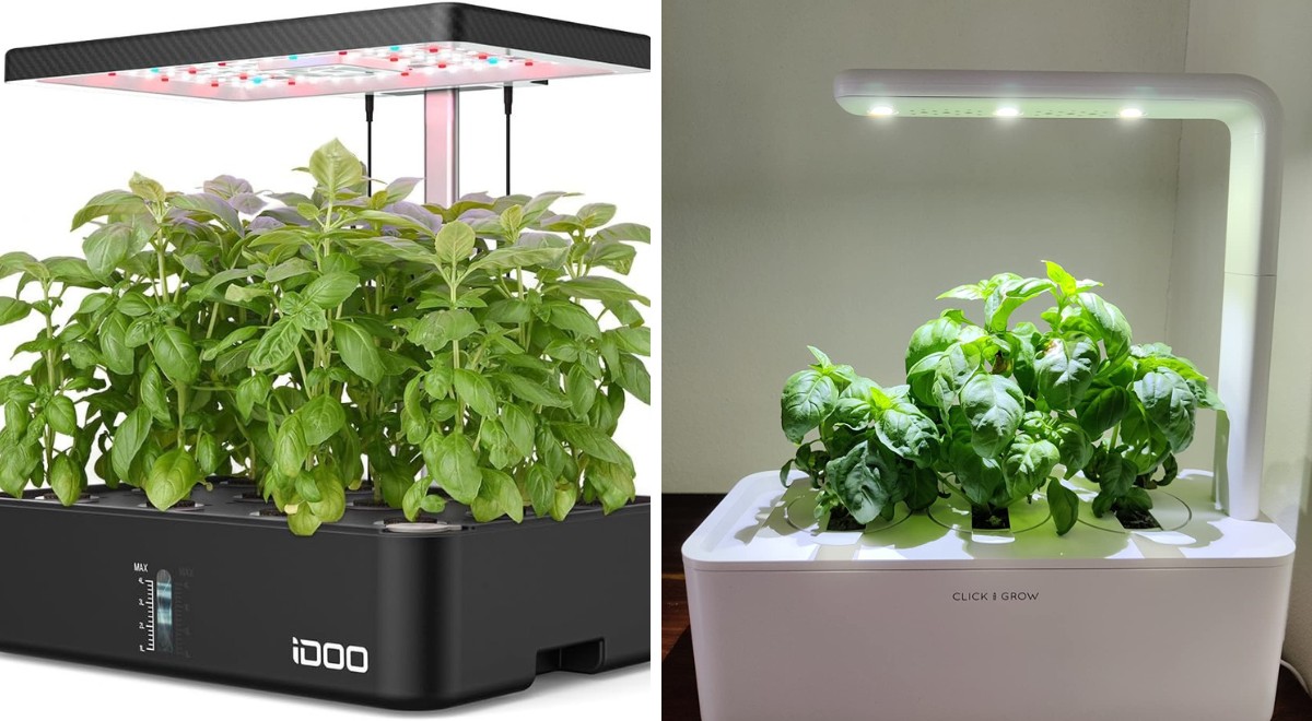 Aromatic herbs that are always fresh and fragrant? Grow them in a mini ...