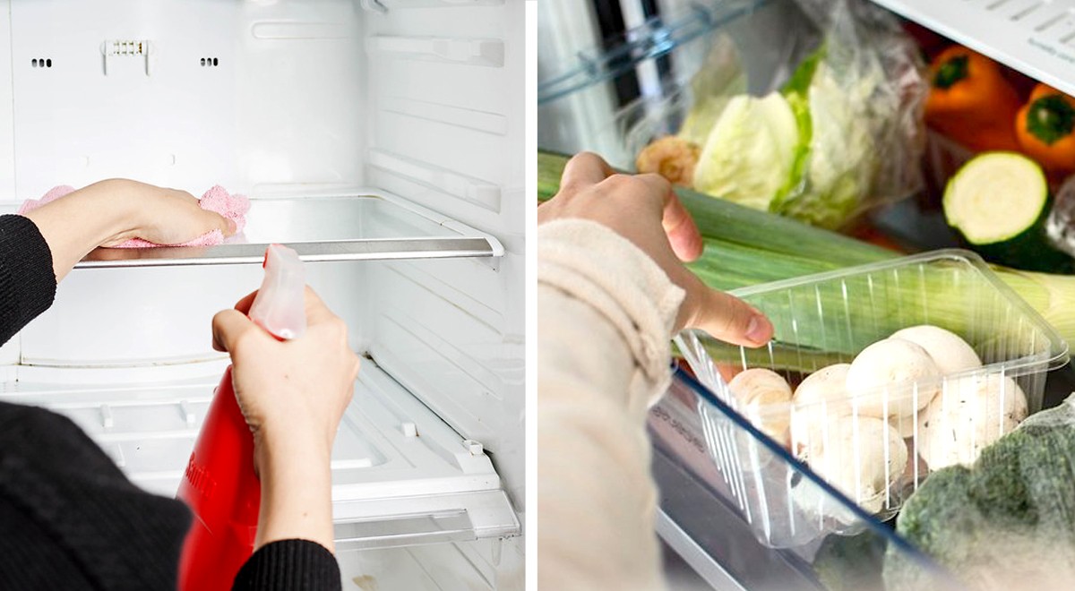 Refrigerator a chaotic mess? Here's how to best reorganize it for ...