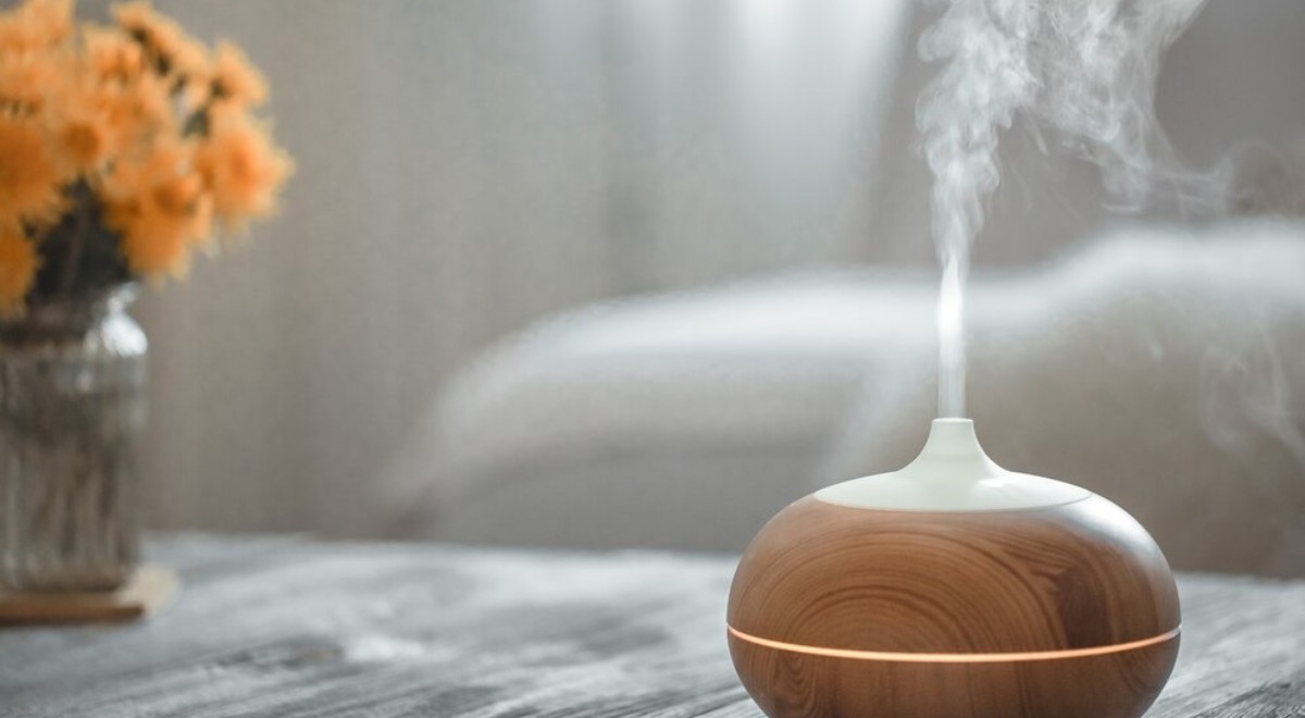 Humidifiers to the rescue: and they can be used to combat mold growing ...
