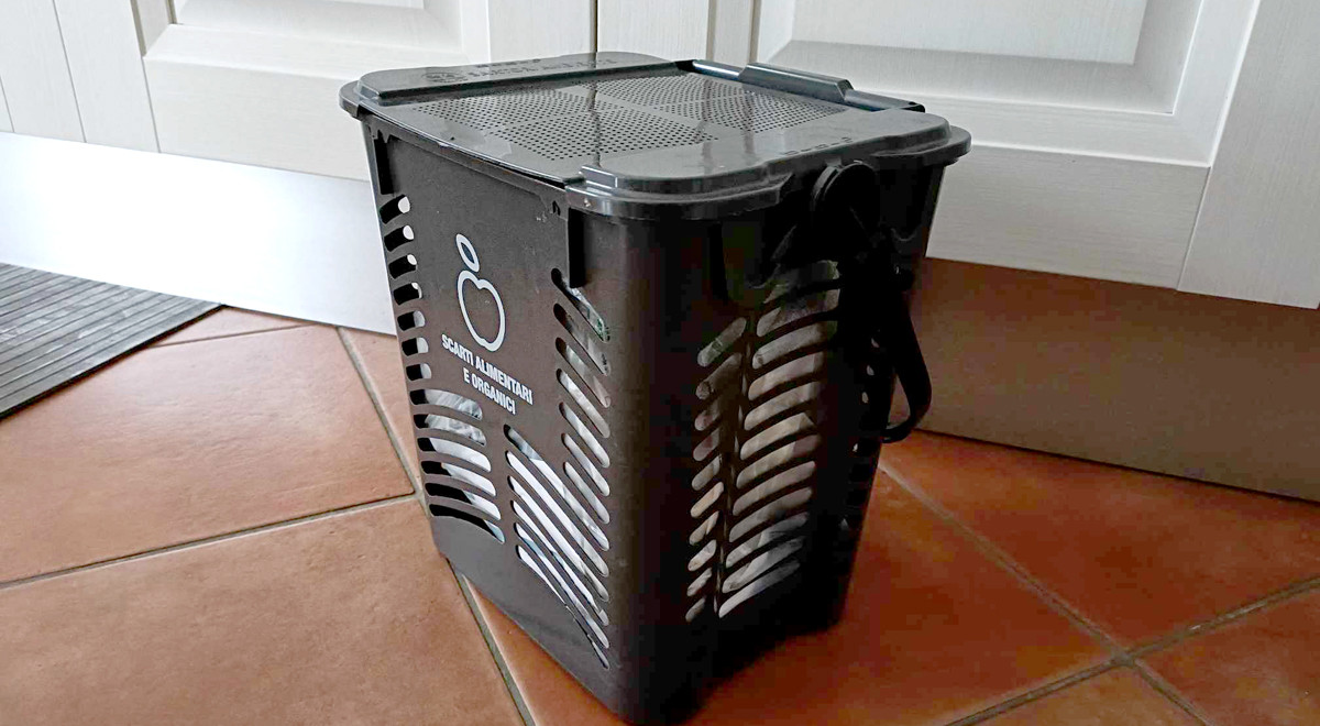 Smelly garbage cans surrounded by insect pests: here's how to eliminate ...