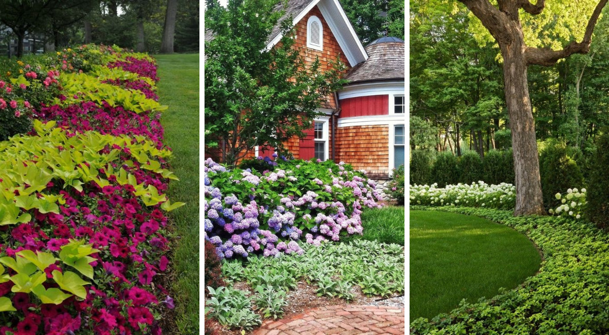 Layered landscaping: a horticultural technique that will make your ...