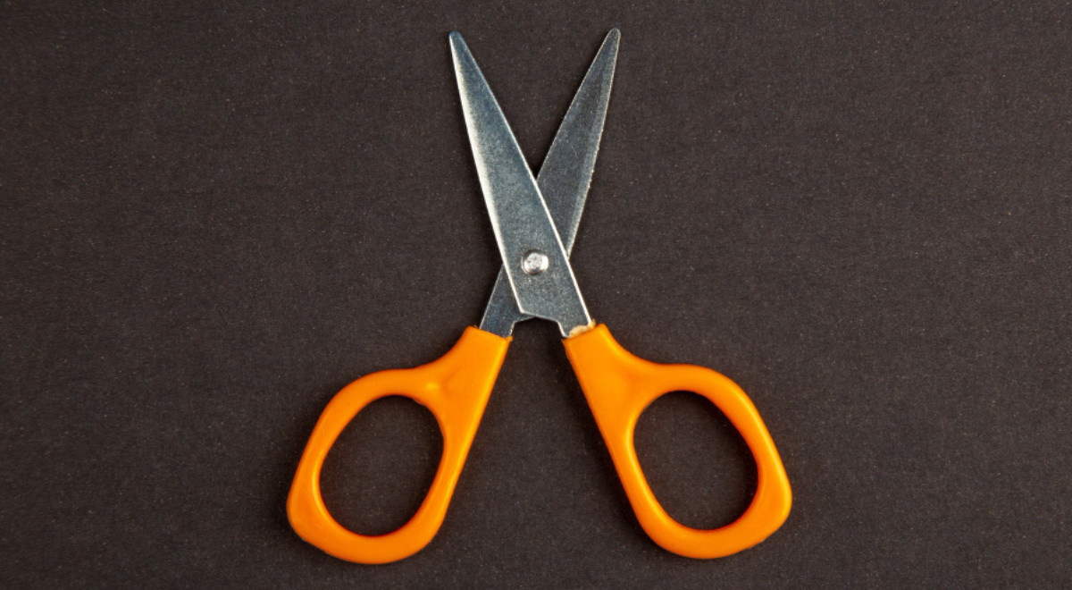 Chi è stato il primo ad usare le forbici ?Origine e invenzione di ...