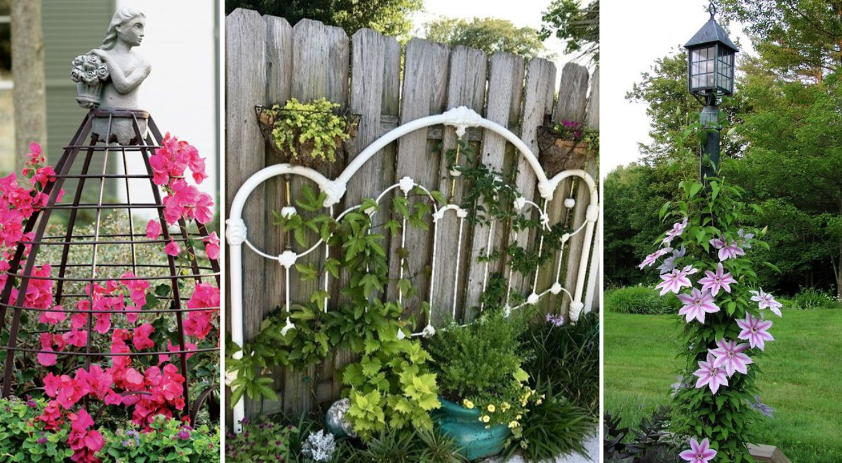 Op zoek naar een trellis voor de tuin? Probeer deze 15 prachtige ...