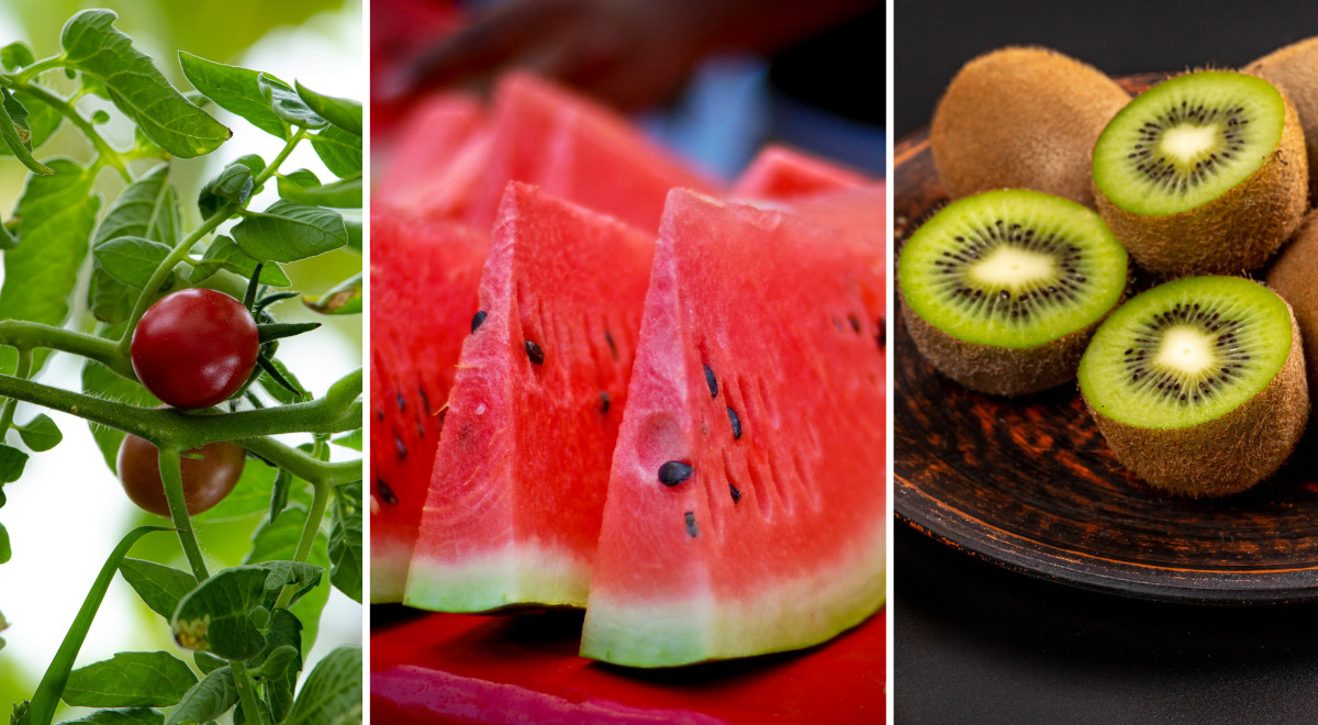 Kann man sie wirklich essen? Die Lebensmittel, von denen Sie nicht ...