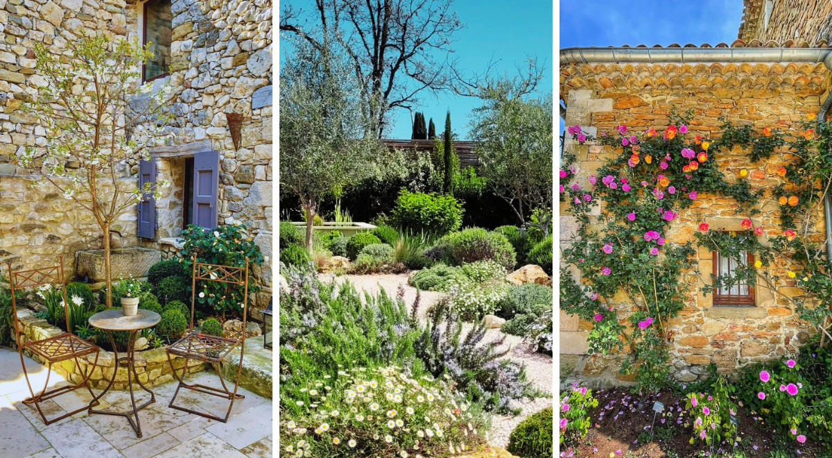 Provençal-style gardens: the basic elements needed to recreate this ...