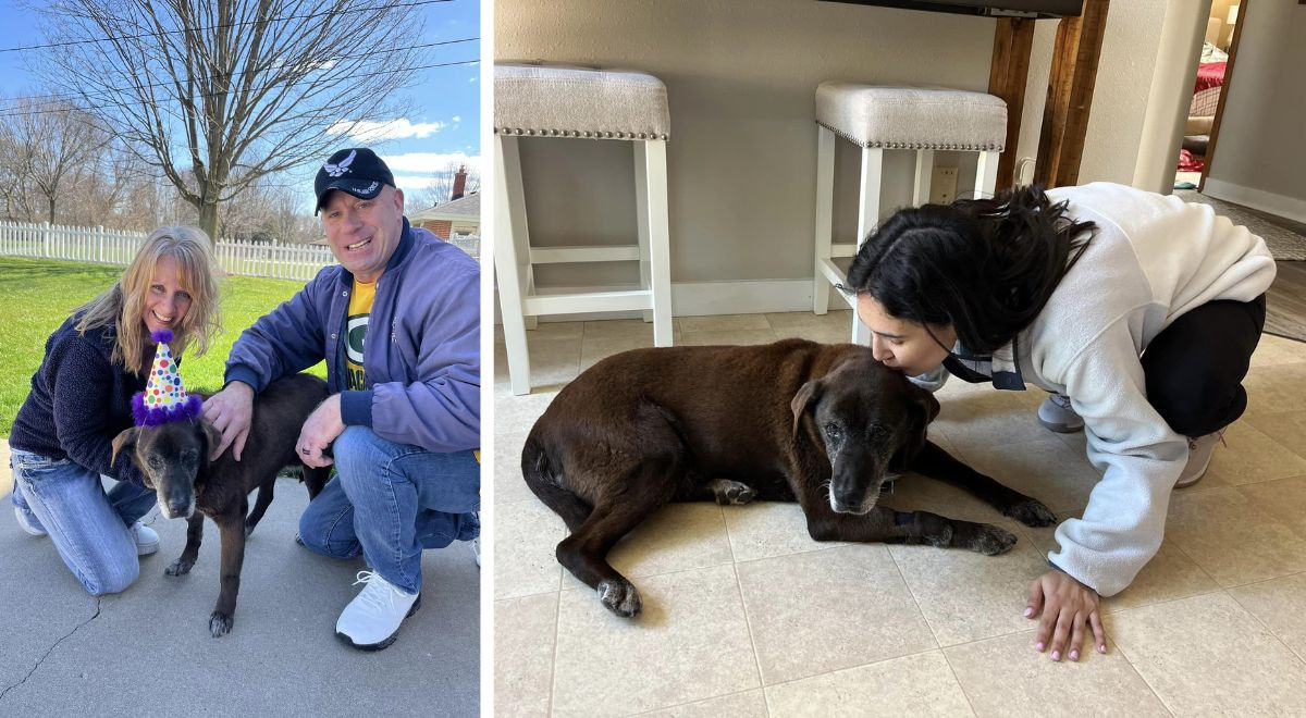 Cane passa 11 anni al rifugio prima di trovare una casa - Argo.pet