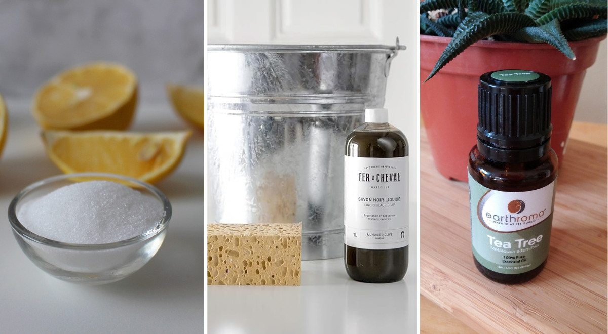 Spring cleaning: these 6, all-natural products are all you need to ...
