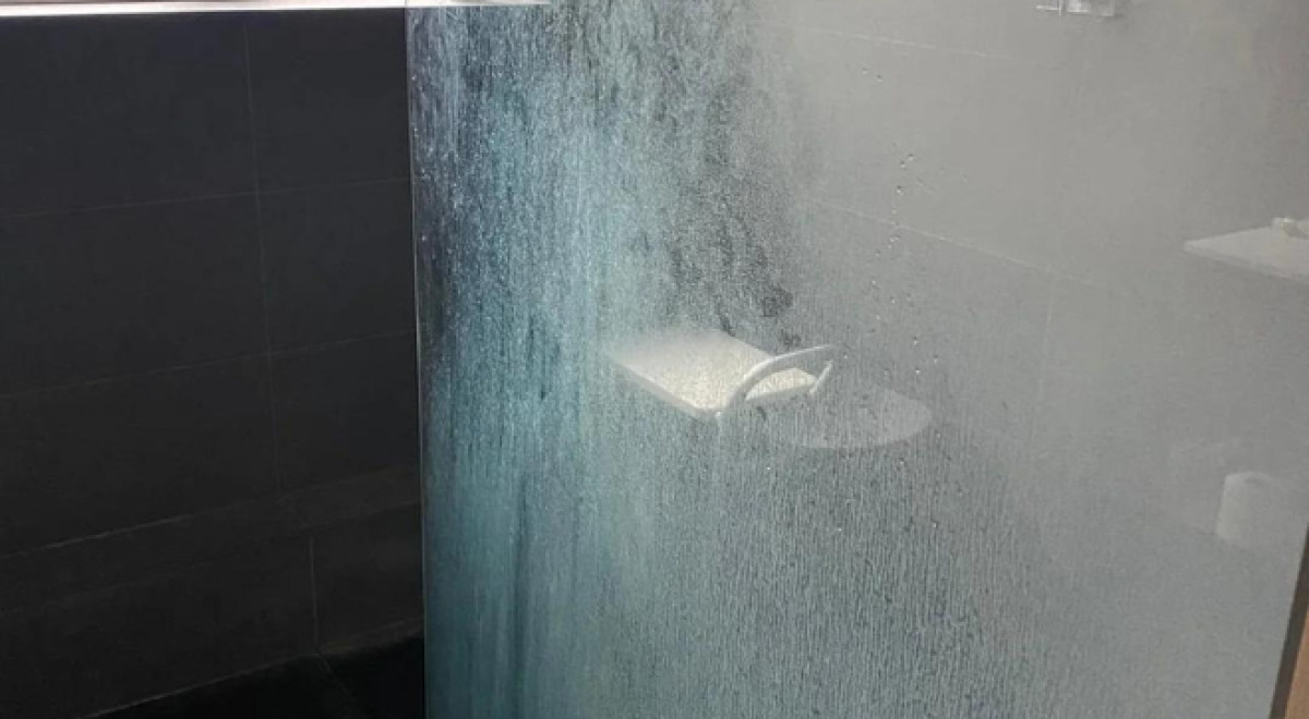 Limescale on the shower's glass surfaces? Here's some all-natural ...