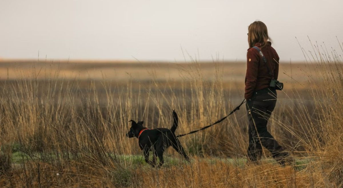 Passeggiate di qualità col cane - Argo.pet