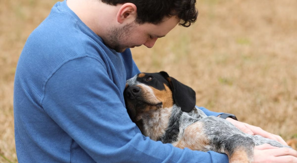 Cosa prova un cane quando vede il proprietario? - Argo.pet